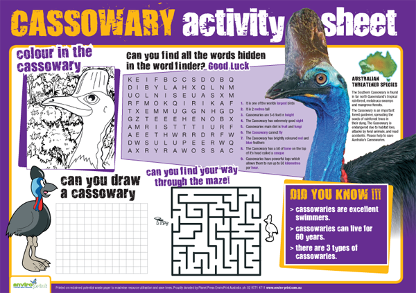 Cassowary Activity Sheet (Pack) – EnviroPrint Australia Online